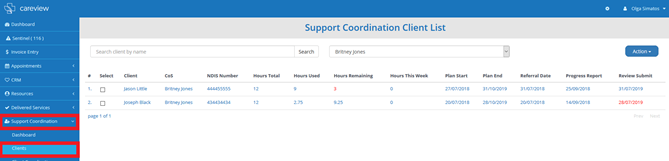 Careview - Support Coordination
