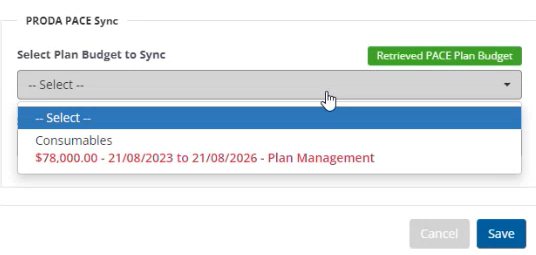 How to create new PACE Plan budgets via the PACE API
