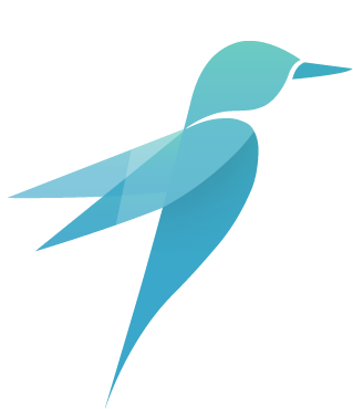 Saving a Care Plan as a Custom Template